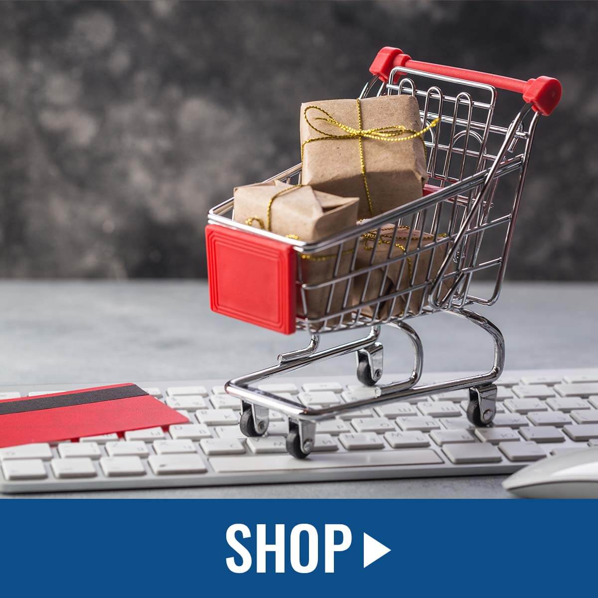 Shop – Intertech Hardware Singapore